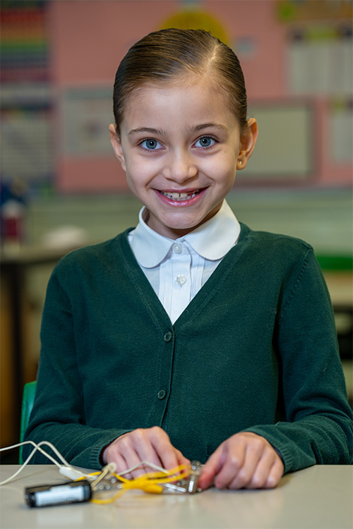 Houses of Pickhurst – Pickhurst Academy